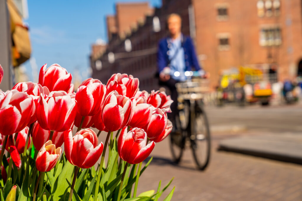 Things to Do During the Spring Bank Holiday in London 2026